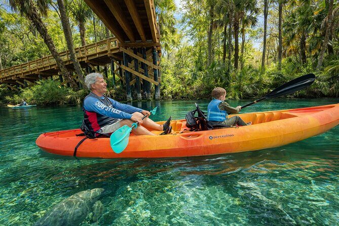 Silver Springs Guided Kayak Tour with Orlando Pick Up - What to Expect on the Tour