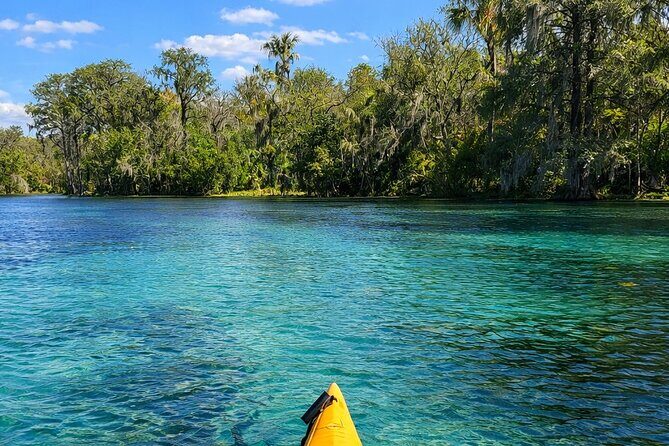 Silver Springs Guided Kayak Tour with Orlando Pick Up - Who Would Enjoy This Tour?