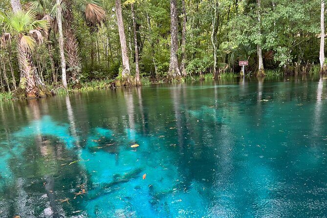 Silver Springs Guided Kayak Tour with Orlando Pick Up - Final Thoughts