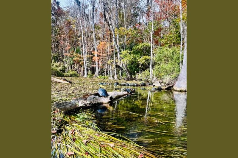 Silver Springs Kayak Tour with Orlando Pick Up - FAQ