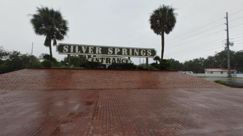 Silver Springs Manatee Kayaking Tour - Authentic Wildlife and Scenic Views