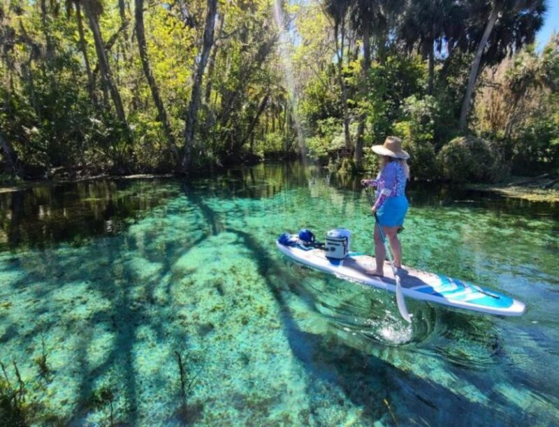 Silver Springs: Manatees and Monkeys Clear Kayak Guided Tour - The Sum Up