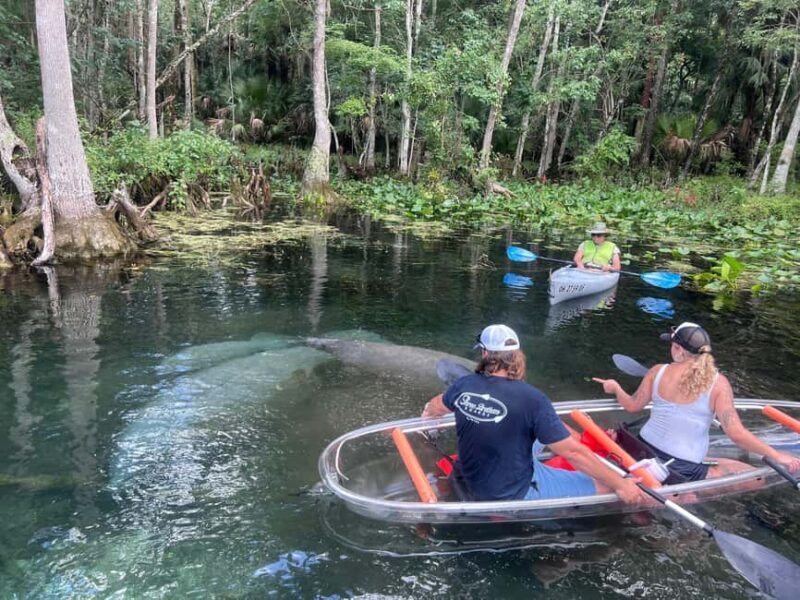 Silver Springs: Manatees, Monkeys, and Natural Spring Tour - What to Expect on This Silver Springs Tour
