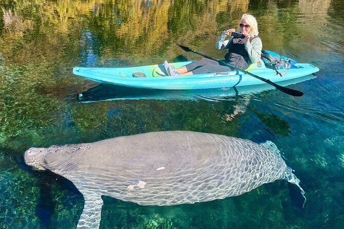 Silver Springs Premium Florida Wildlife Experience! - The Value of the Experience