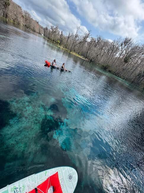 Silver Springs: Silver River Guided Kayak Tour - An In-Depth Look at the Silver River Guided Kayak Tour