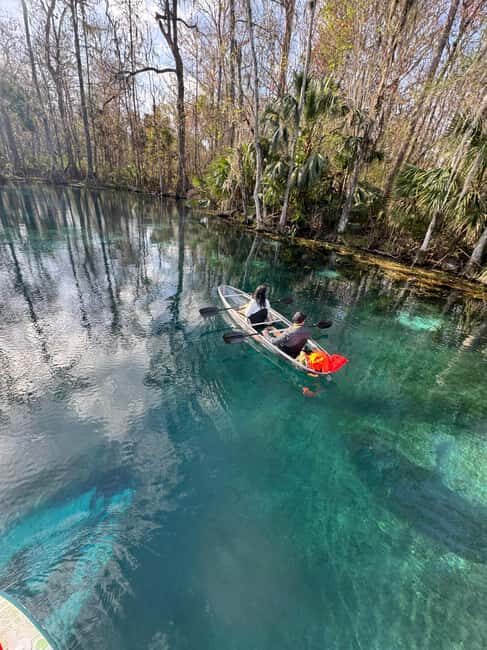 Silver Springs: Silver River Guided Kayak Tour - The Sum Up