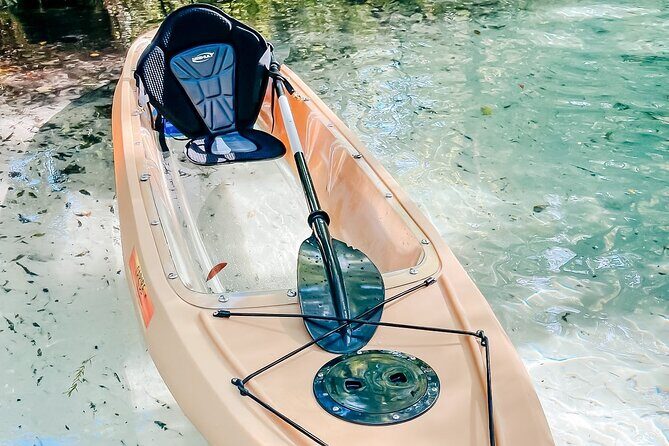 Silver Springs Wildlife Tour - Glass Bottom Kayaks - The Experience Card: What You Should Expect During Your Paddling Adventure