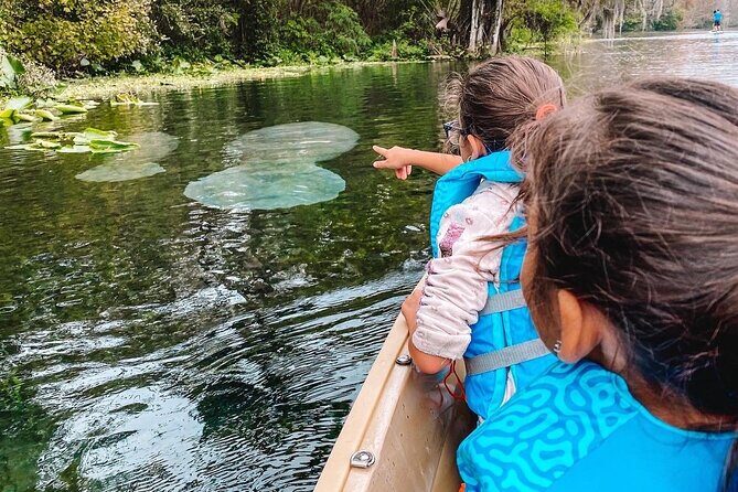 Silver Springs Wildlife Tour - Glass Bottom Kayaks - Final Thoughts: Is This Tour for You?