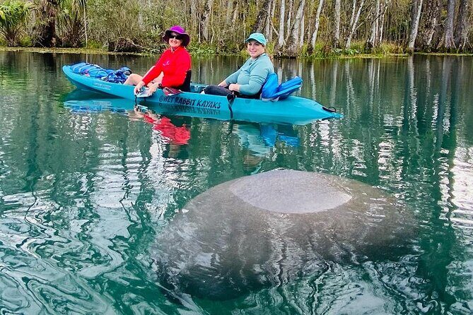 Silver Springs Wildlife Tour - Glass Bottom Kayaks - Frequently Asked Questions (FAQs)