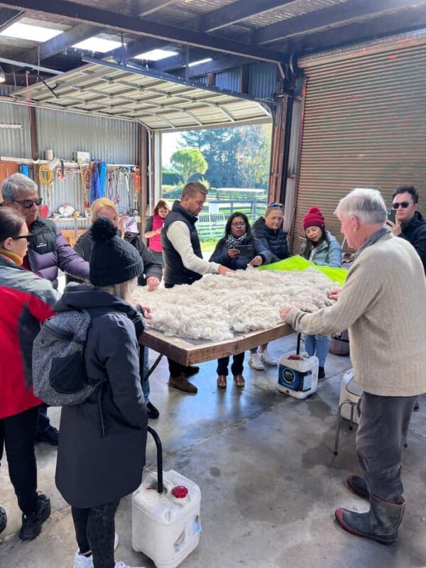 Silverstream Alpaca Farm Tour with Feeding and Guide - Introduction