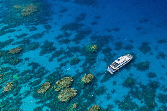 Silverswift Dive and Snorkel Great Barrier Reef Cruise - Key Points