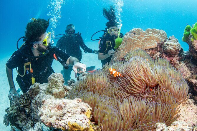 Silverswift Dive and Snorkel Great Barrier Reef Cruise - Frequently Asked Questions