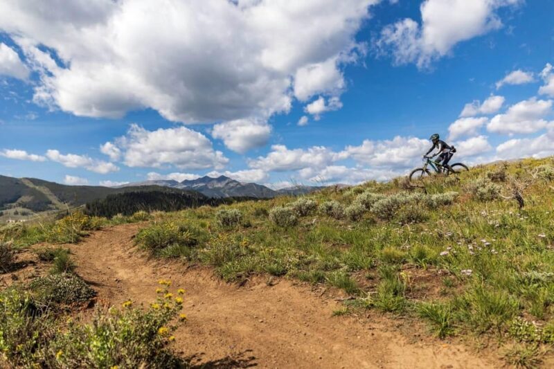 Silverthorne: Mountain Bike Ride Salt Lick Trails - What You Can Expect from the Salt Lick Trail Bike Tour