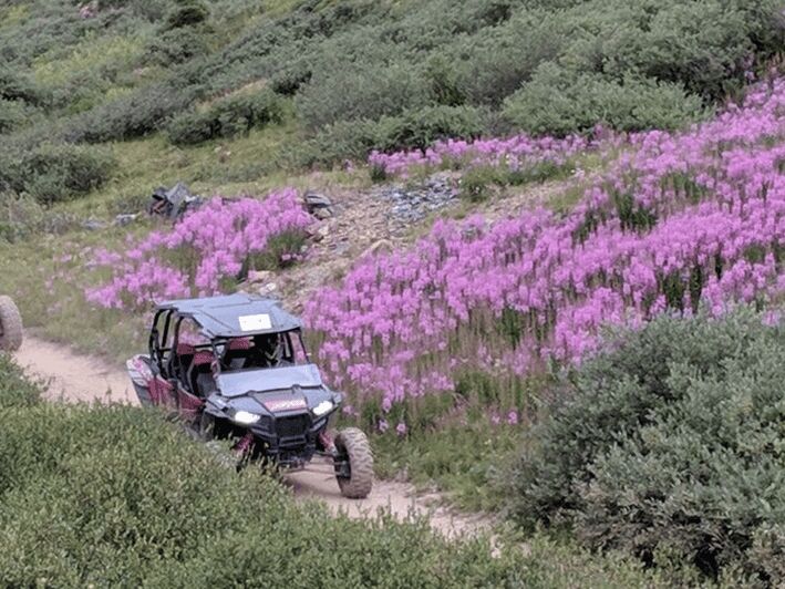 Silverton: Half-Day ATV Offroad Adventure - The Sum Up