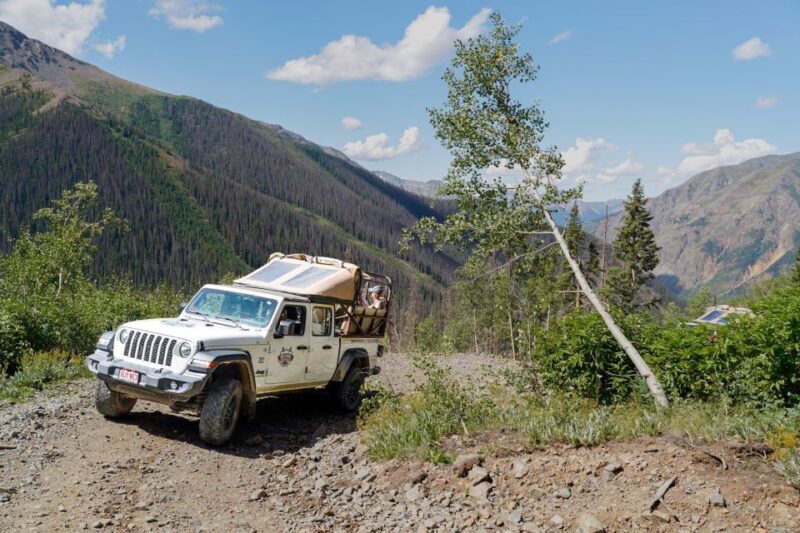 Silverton Half Day Jeep Tour - Who Should Consider This Tour?