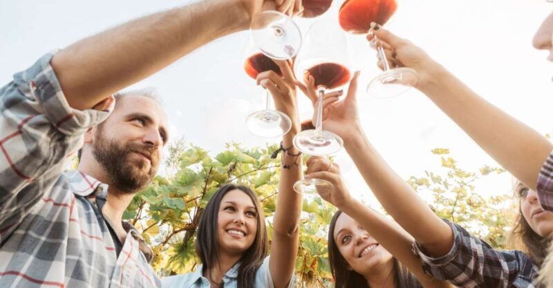 Silves: Algarvian Winery Tour and Tasting Experience - What to Expect During the Tour