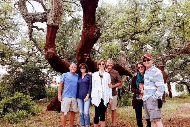 Silves and Monchique - Private - The Experience of a Private Tour: Why It Matters