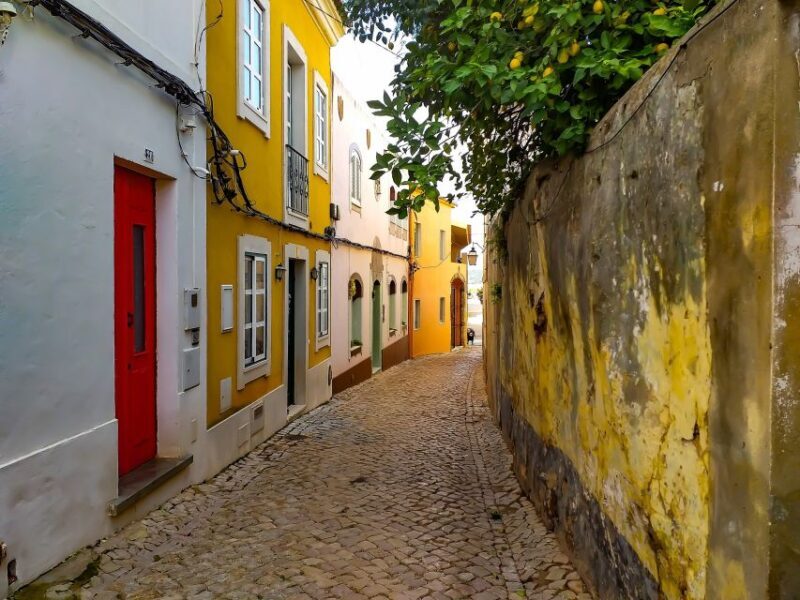 Silves, Caldas and Monchique Wine Tasting: Full Day Tour - Key Points