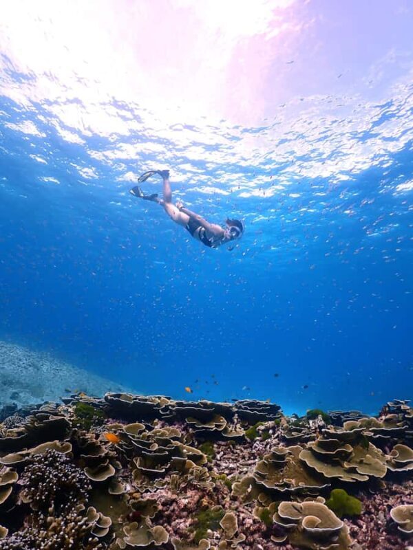 SIMILAN ISLAND BY SPEED BOAT FROM PHUKET - The Itinerary: A Step-by-Step Breakdown