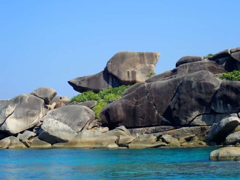 Similan Islands Early-Bird Tour From Phuket and Khao Lak! - The Bottom Line: Is It Worth It?