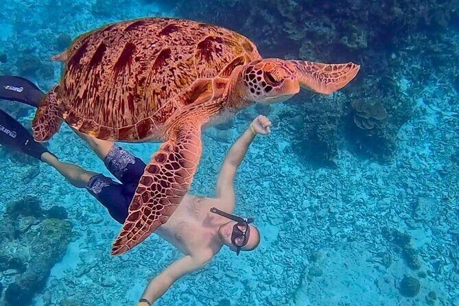 Similan Islands Full Day Tour from Phuket - Key Points