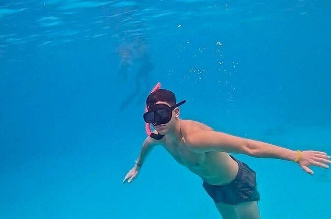 Similan Islands Full Day Tour from Phuket - Who Should Book This Tour?