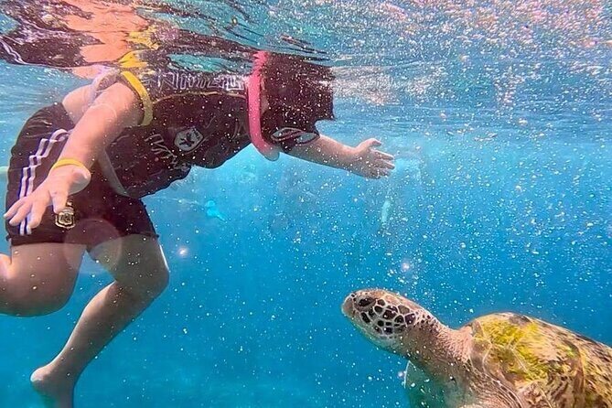 Similan Islands Full Day Tour from Phuket - FAQ