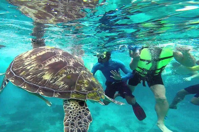 Similan Islands Full-Day Tour from Phuket (SHA Plus) - The Journey to the Islands: Comfort and Expectations