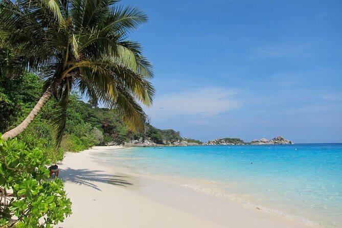 Similan Islands Full-Day Tour from Phuket with Lunch - Analyzing the Value: Price, Duration, and Experience