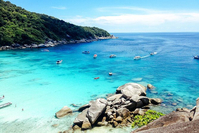 Similan Islands Tour from Phuket - The Group and Guide Experience
