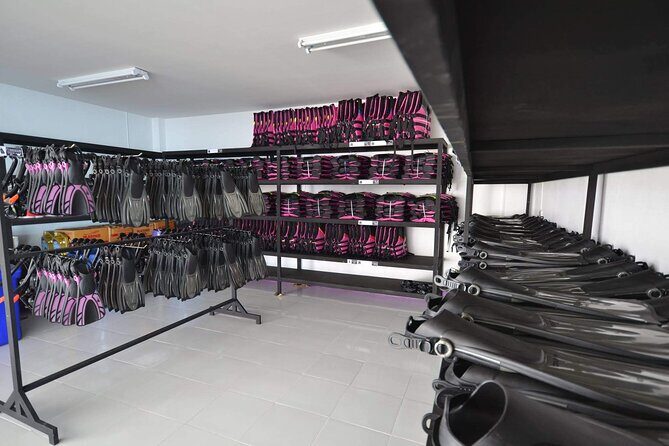 Similan Royal High Speed Catamaran Day Tour - What You’ll Actually Experience