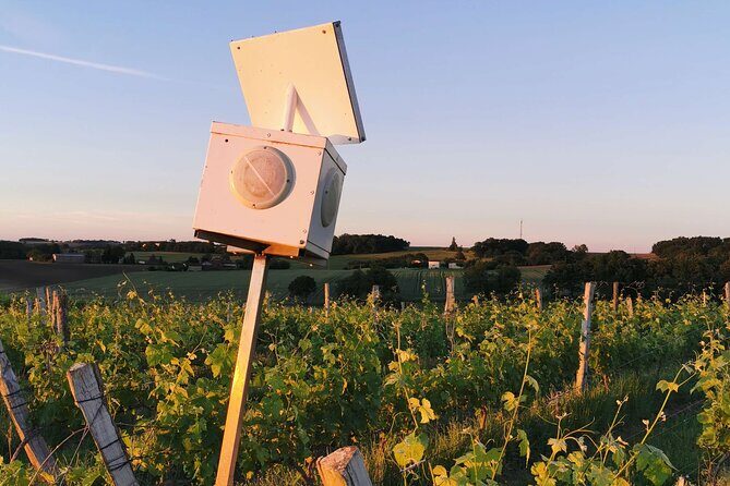 Simple Visit to Discover the Domaine d'Arton - Exploring Domaine dArton: What You Can Expect