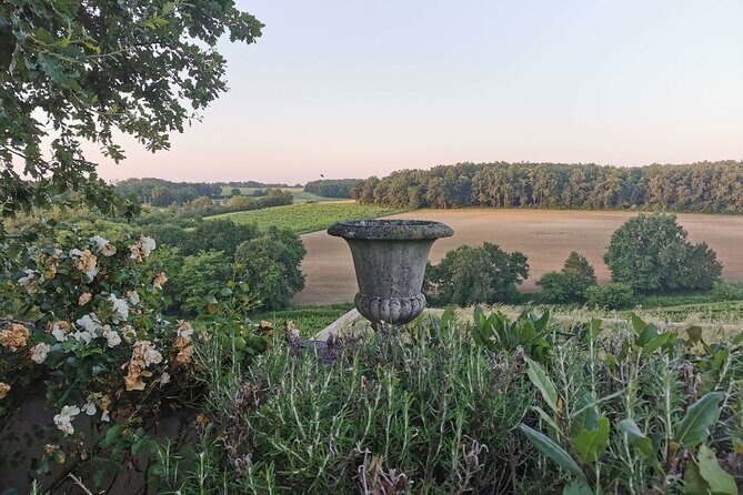 Simple Visit to Discover the Domaine d'Arton - The Sum Up