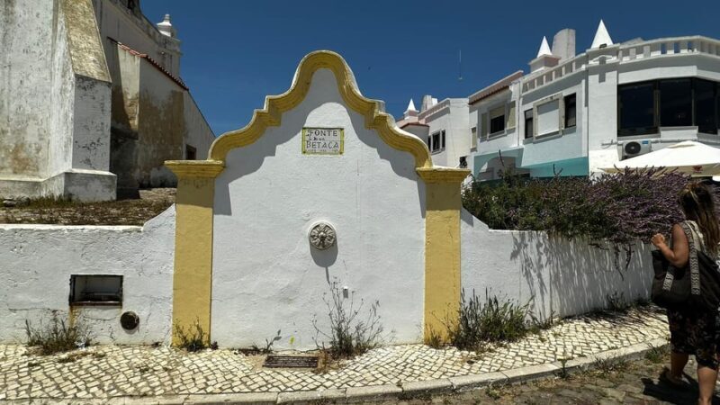 Sines and Porto Covo: discover Costa Vicentina with a local - Final Thoughts