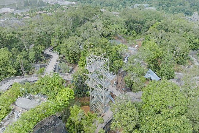 Singapore 3 Park Explorer Pass: Zoo, River Wonders, Bird Paradise - Who Will Love This Experience?