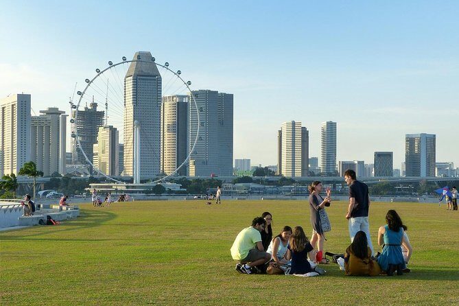 Singapore: 8 Hours - Private Car or Minibus Rental with Driver - Authentic Experiences and Real-World Insights