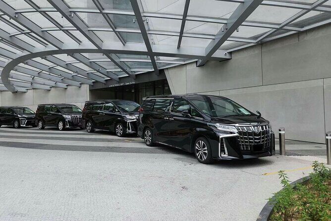Singapore: Airport/Seaport Arrival Transfer + Meet & Greet - Who Will Benefit Most?
