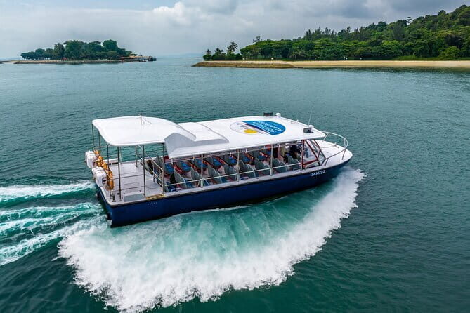 Singapore - Albatross Speedboat Adventures Cruising in Sentosa - Key Points