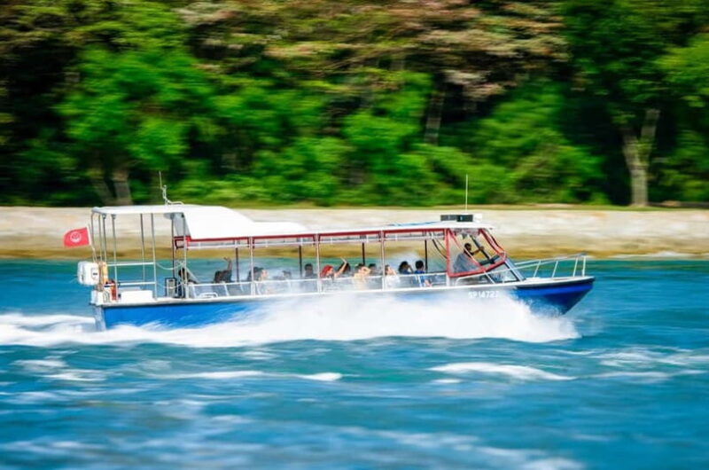 Singapore: Albatross Speedboat Adventures Ticket - Analyzing the Value and Practicalities