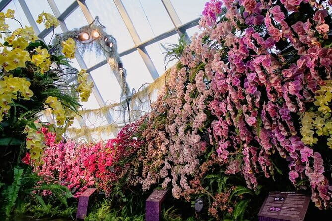 Singapore ArtScience Museum Admission E-Ticket - FAQ