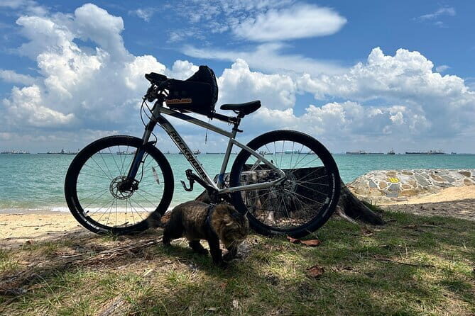 Singapore Beach City Cycling Tour - FAQ