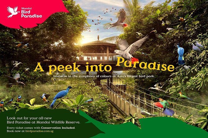 Singapore Bird Paradise Entry Ticket - Practical Tips