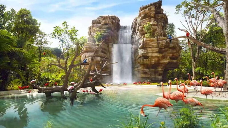 Singapore: Bird Paradise - What Makes Bird Paradise Stand Out?