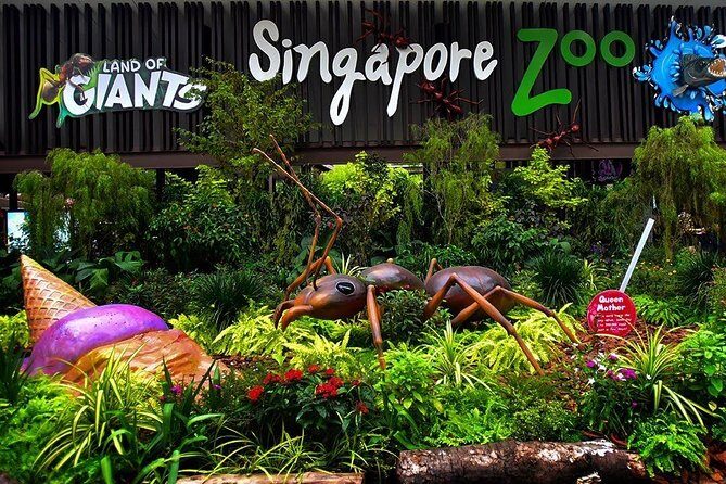 Singapore Bird Paradise & Zoo Full Day (Ticket & Transfer ) - A Closer Look at the Itinerary