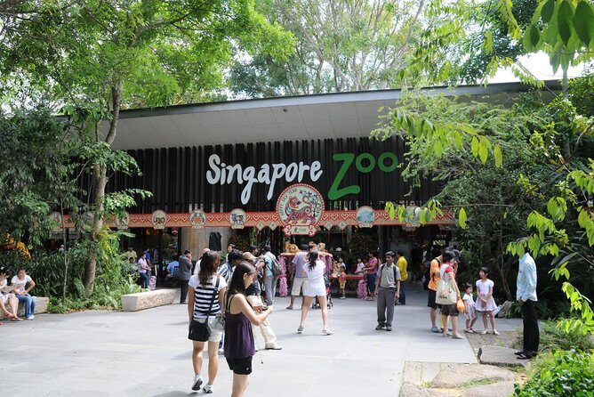 Singapore Bird Paradise & Zoo Full Day (Ticket & Transfer ) - Authentic Insights from Other Travelers