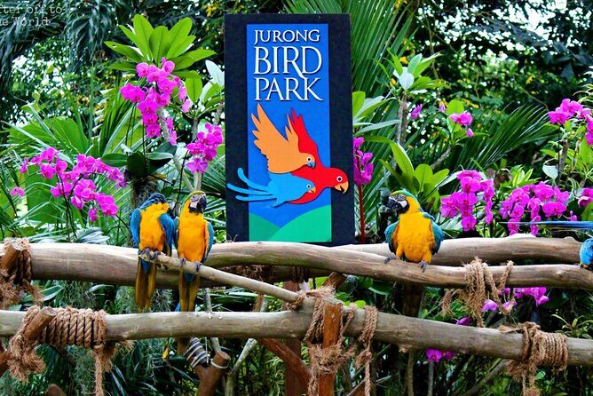 Singapore Bird Paradise & Zoo Full Day (Ticket & Transfer ) - FAQ