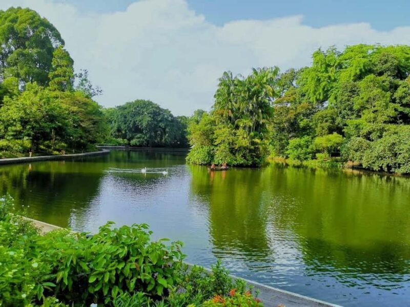 Singapore: Botanic Gardens & Tiong Bahru Walk w/Breakfast - Key Points