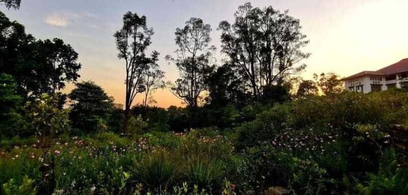 Singapore: Botanic Gardens & Tiong Bahru Walk w/Breakfast - Practical Details and Experience Quality