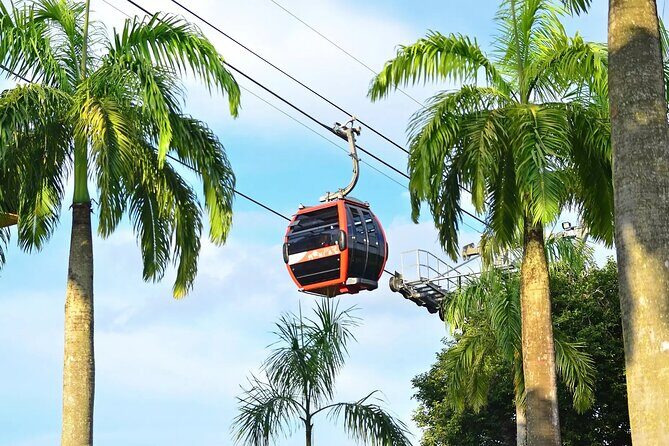 Singapore Cable Car - An In-Depth Look at the Singapore Cable Car Experience
