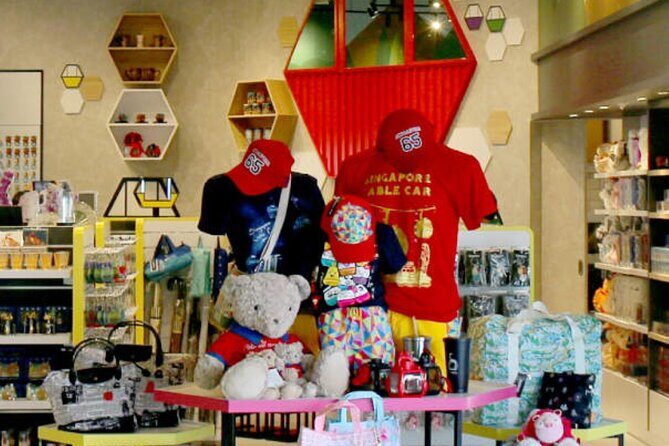 Singapore Cable Car Sky Pass - The Sum Up: Is the Singapore Cable Car Sky Pass Worth It?